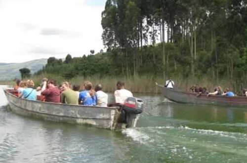 Volcanoes National Park Rwanda: Activities, Tours & Lodges