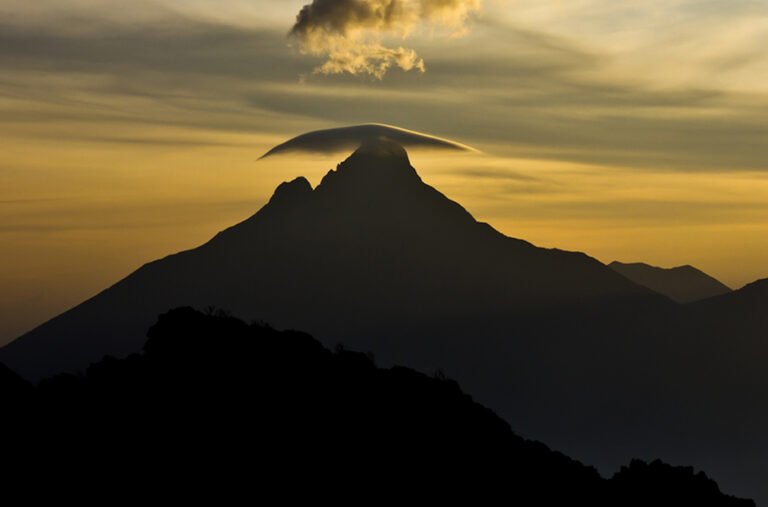 Volcanoes National Park Rwanda: Activities, Tours & Lodges