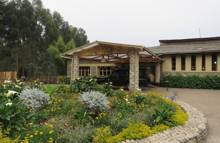 Mountain Gorilla View Lodge | Volcanoes National Park Rwanda