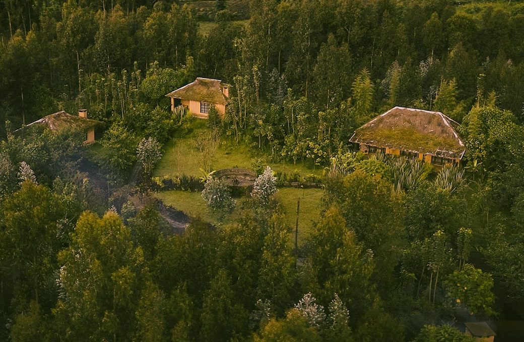 Sambora Kinigi Lodge - Luxury Lodges | Volcanoes National Park Rwanda